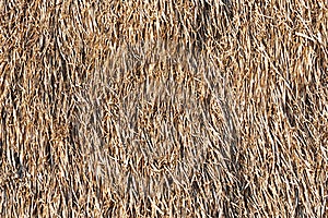 Texture Of Grass Roof Stock Photo - Image: 18358170